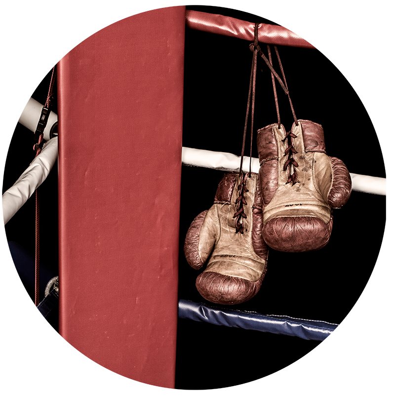 boxing gloves - OBFT